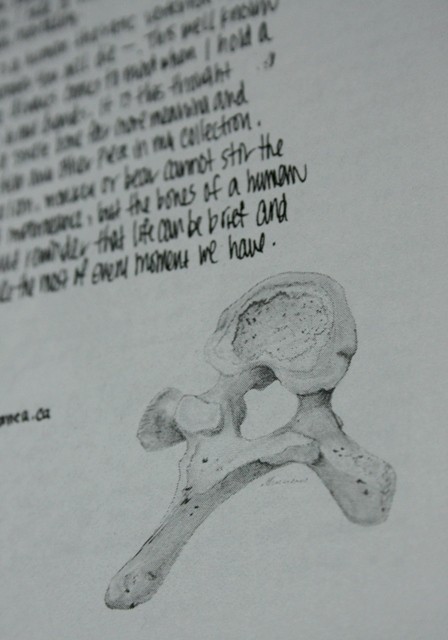A Review of Fur, Hide and Bone Zine – Celebrating the strange and the ...